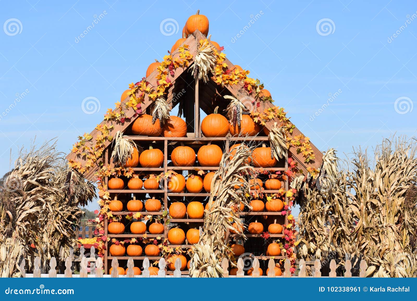 Halloween Pumpkin House stock image. Image of farm, fall - 102338961