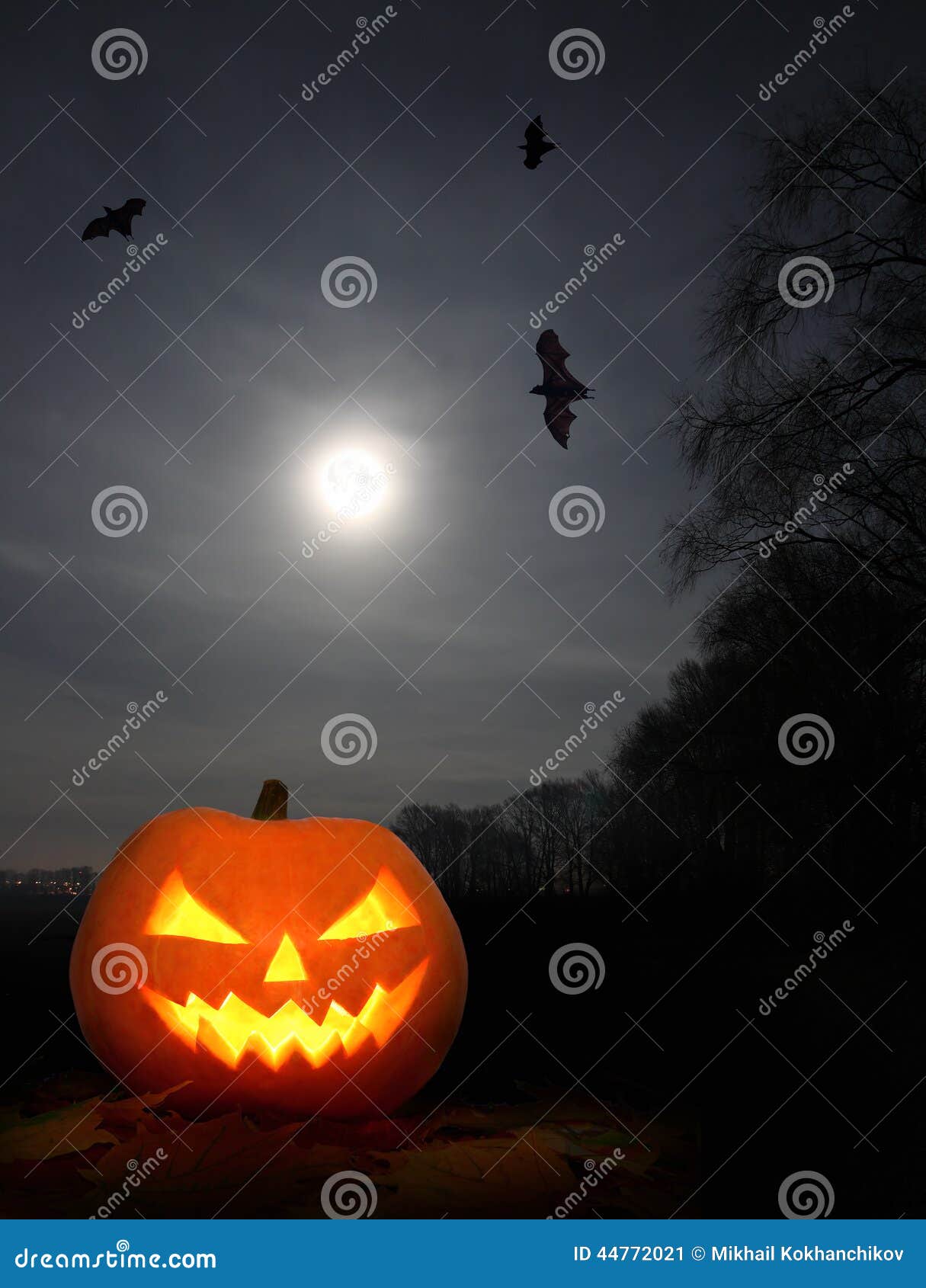 Halloween pumpkin at night stock image. Image of moonlight - 44772021