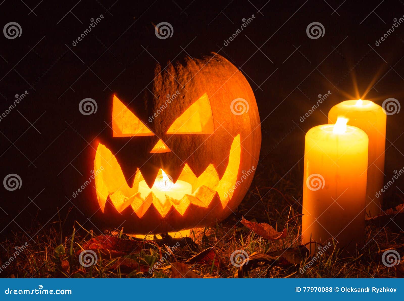 Halloween Pumpkin at Night stock photo. Image of fall - 77970088