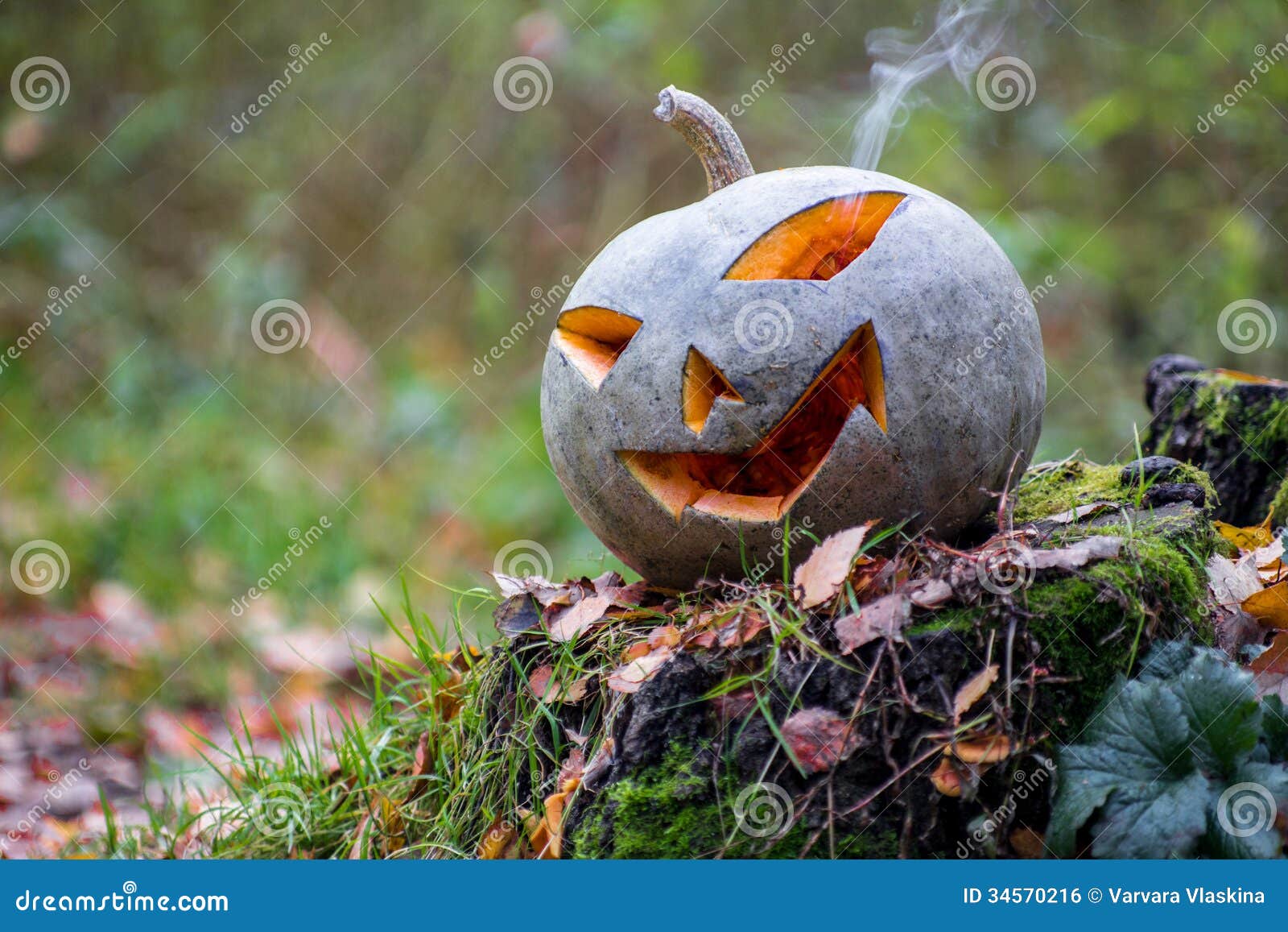 Halloween Pumpkin with Smoke in the Forest Stock Photo - Image of funny ...