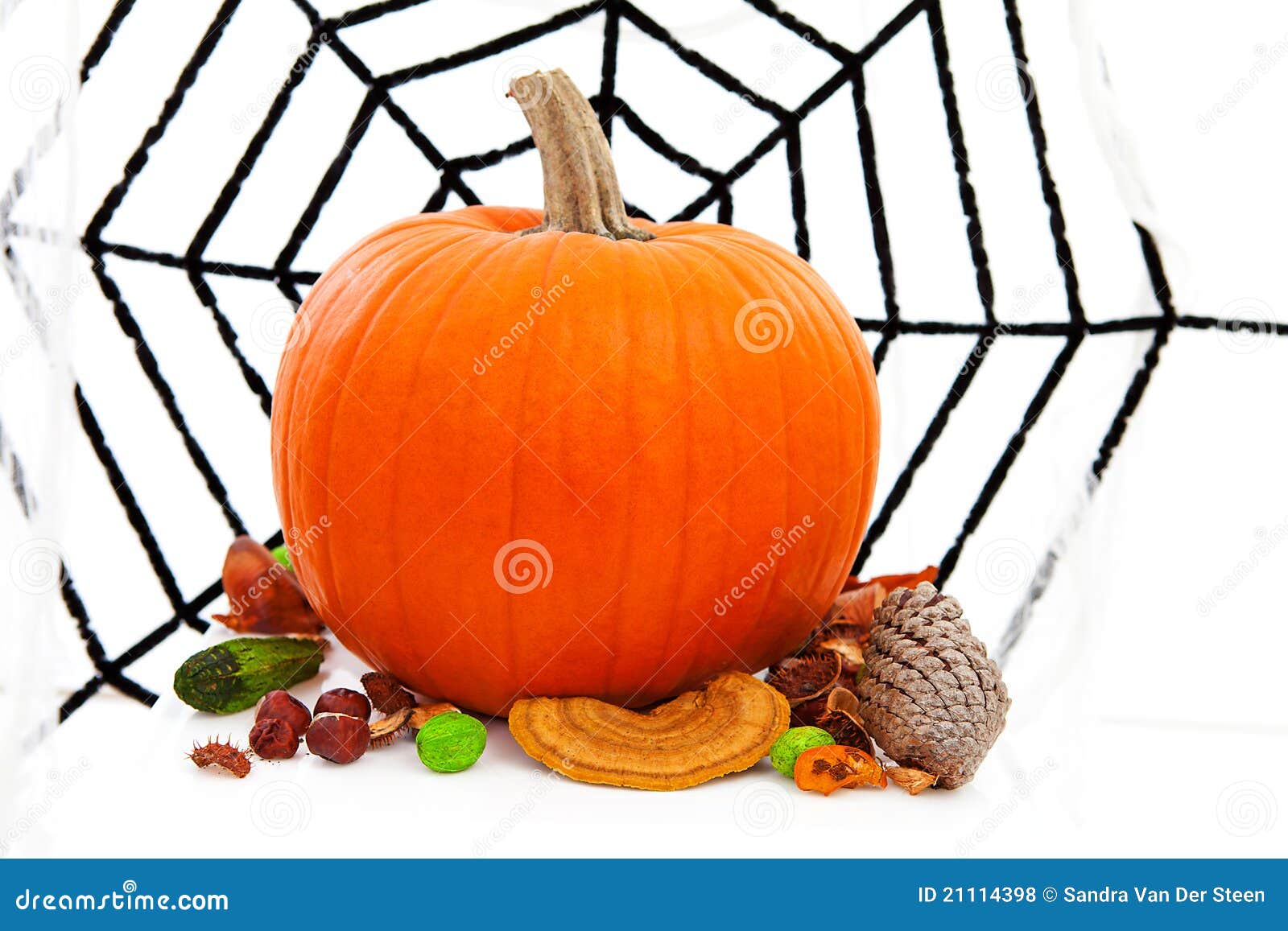 Halloween Pumpkin and Spider Web Stock Photo - Image of october ...
