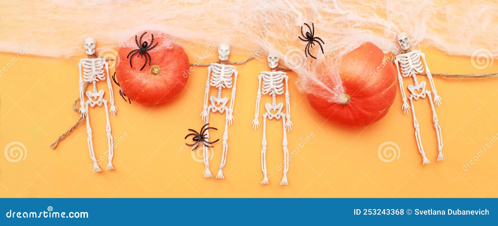 Halloween Pumpkin with Spider Web, Skeleton and Black Spiders on Orange ...