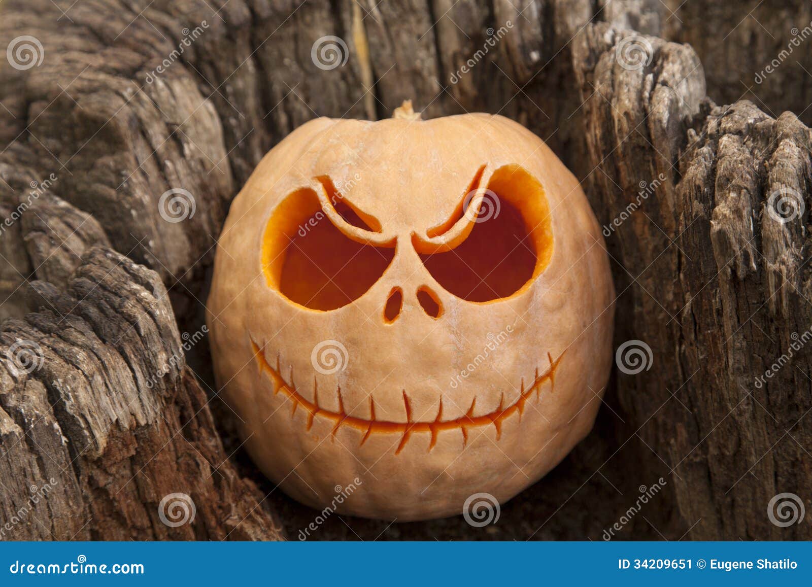 Halloween Pumpkin in a Stump Stock Image - Image of plant, lantern ...