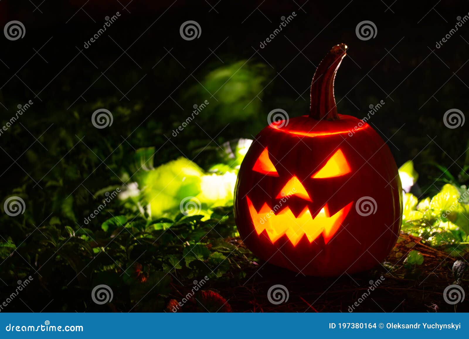 Halloween Pumpkin on a Tree Stump on a Dark Night Stock Photo - Image ...