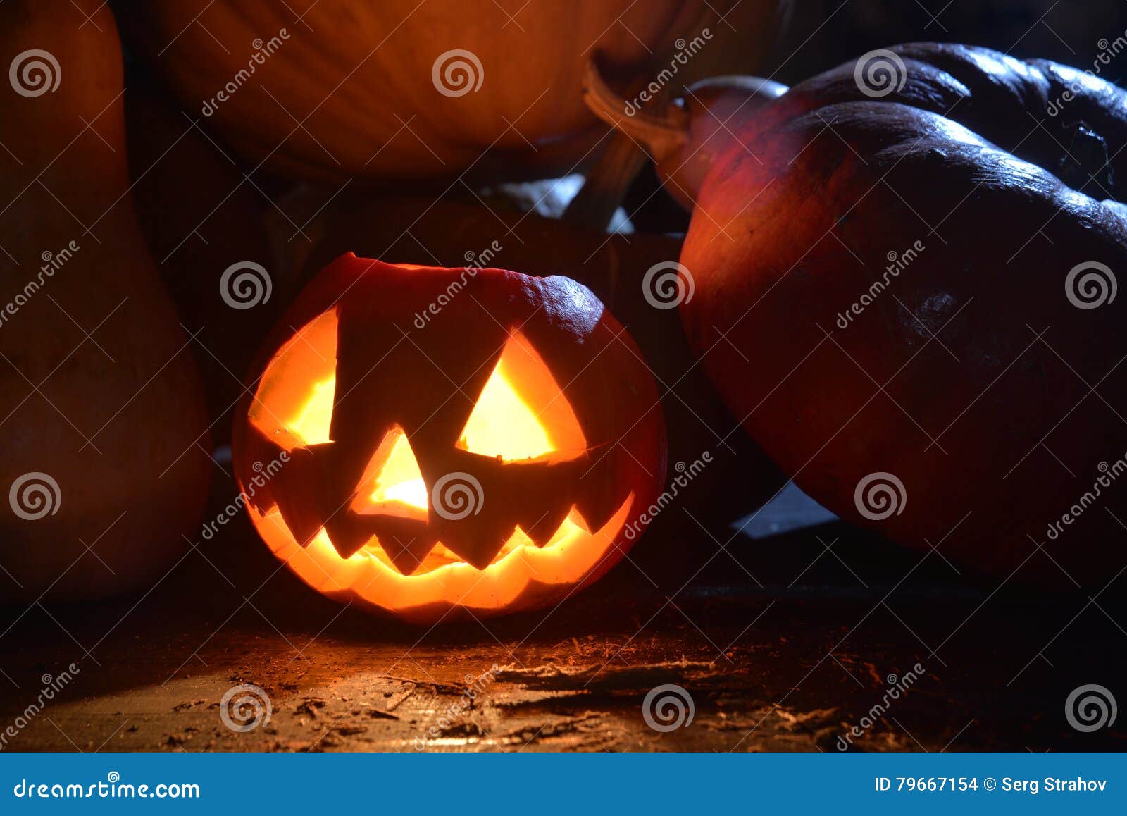 Halloween Pumpkin Under Moonlight Stock Photo - Image of fall, blue ...
