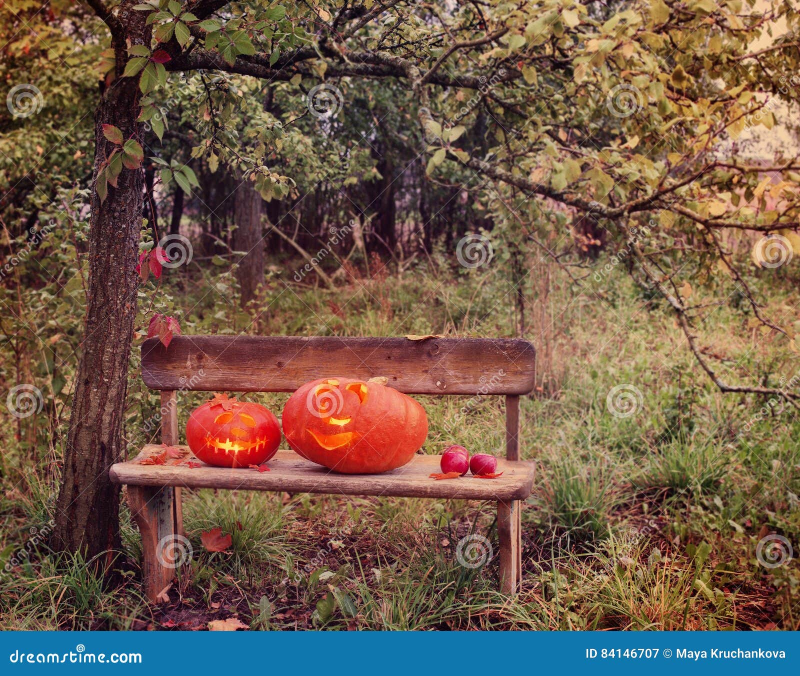 Halloween Pumpkin on Wooden Bench Stock Image - Image of outdoor ...
