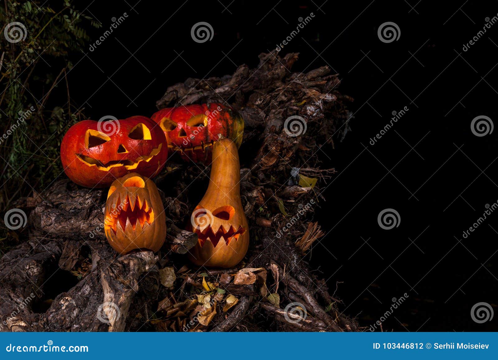 The Halloween Pumpkins Family Stock Photo - Image of glowing, horror ...