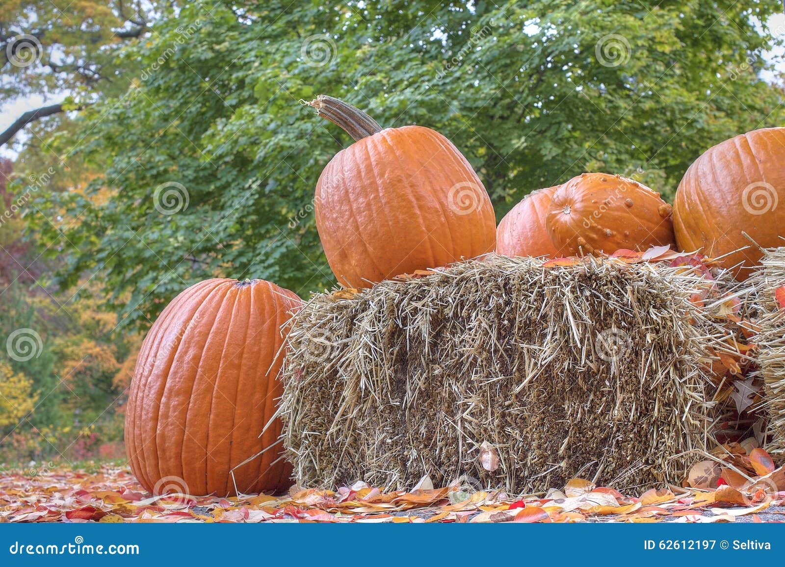 Halloween Pumpkins and Haystack Stock Image - Image of fall ...