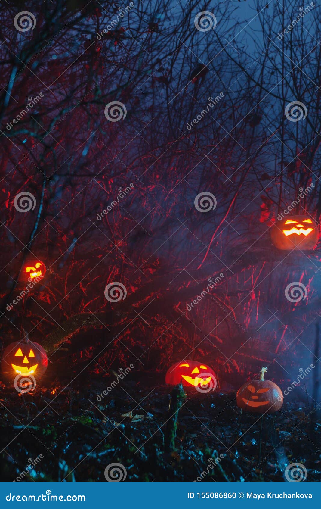 Halloween Pumpkins in Night Forest Stock Photo - Image of pumpkin ...