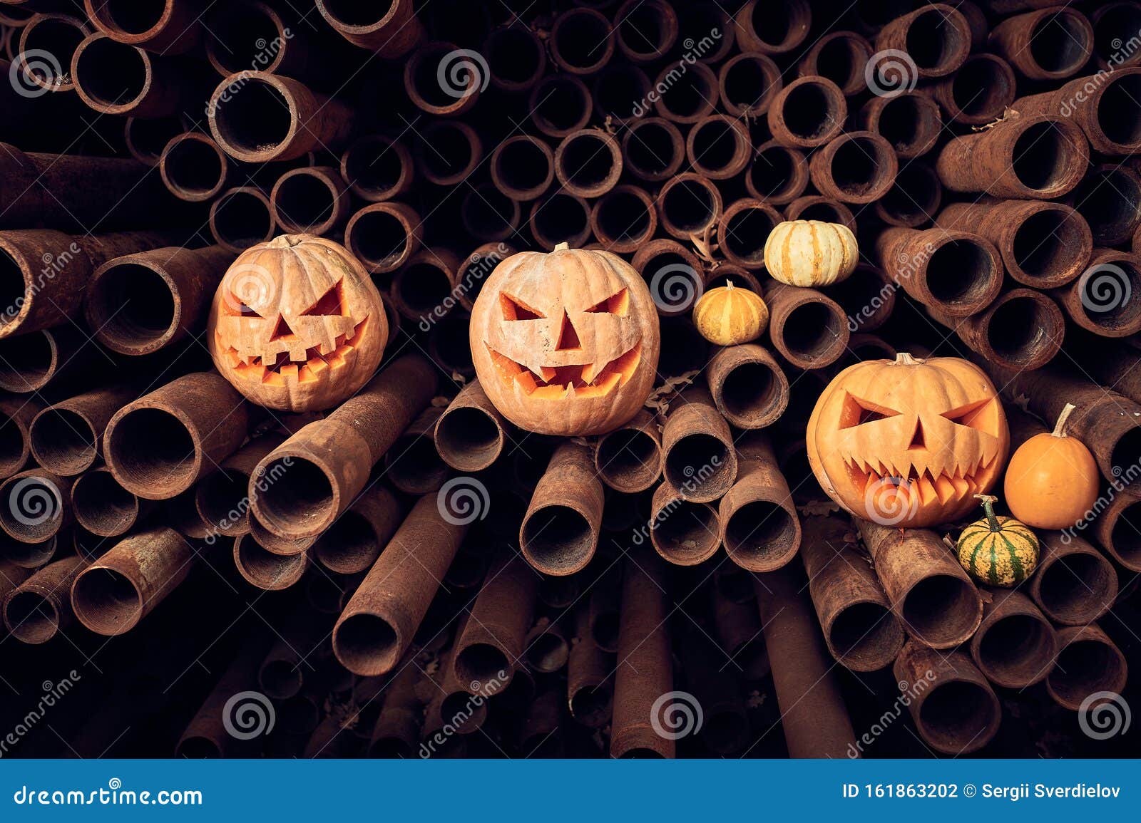 Halloween Pumpkins on a Stack of Rusty Pipes Stock Photo - Image of ...