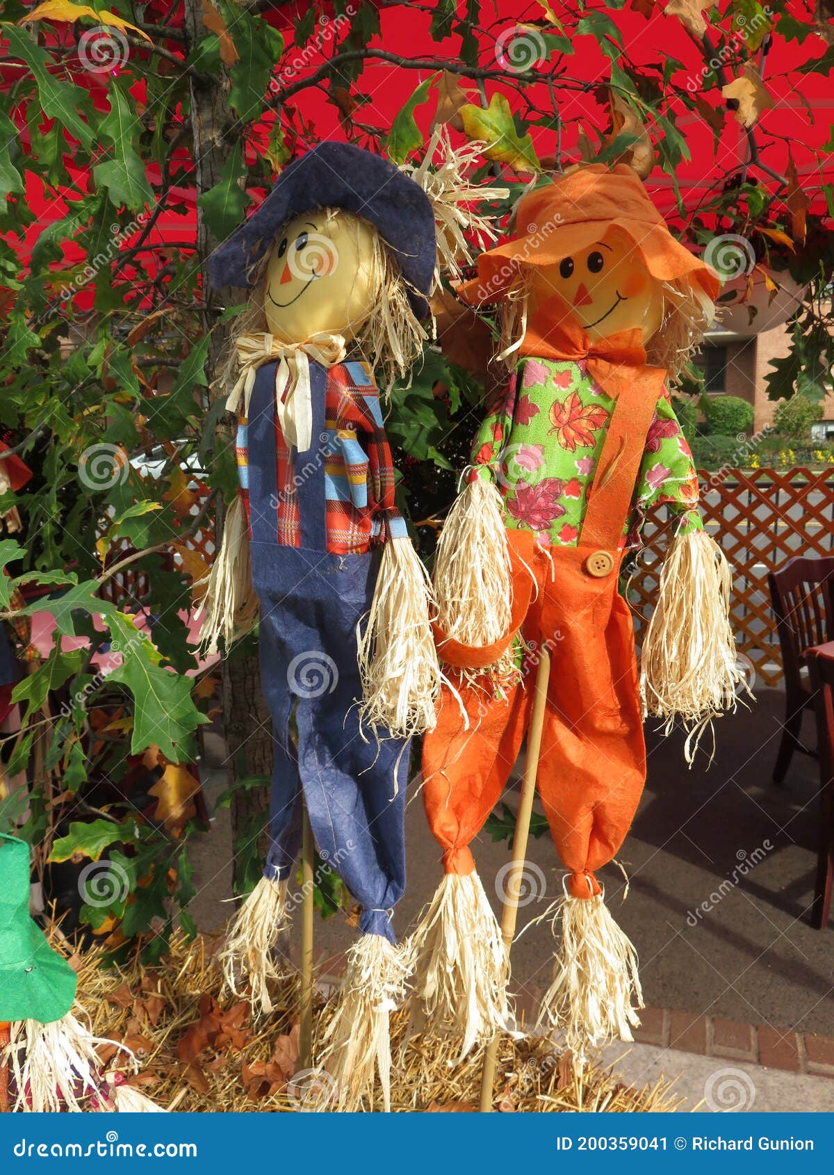 Halloween Scarecrows in October Stock Image - Image of holiday, orange ...