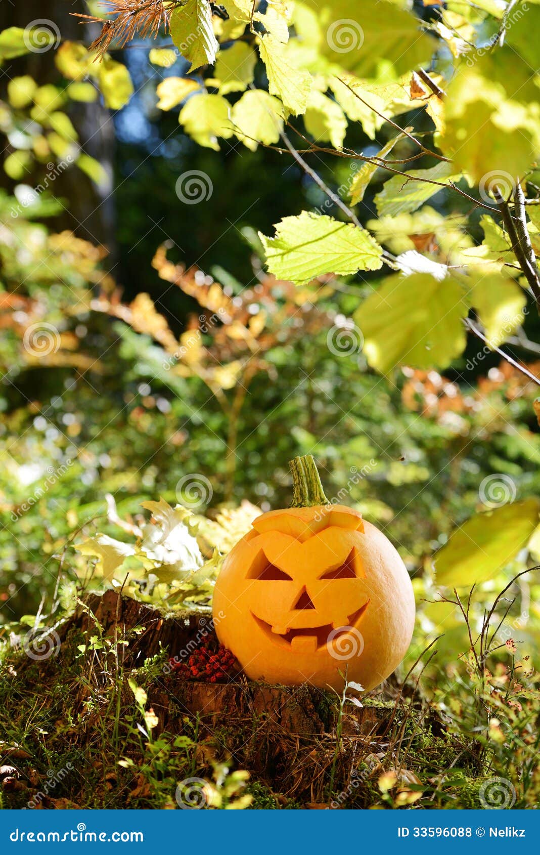 Halloween Scary Pumpkin in Autumn Forest Stock Photo - Image of creepy ...