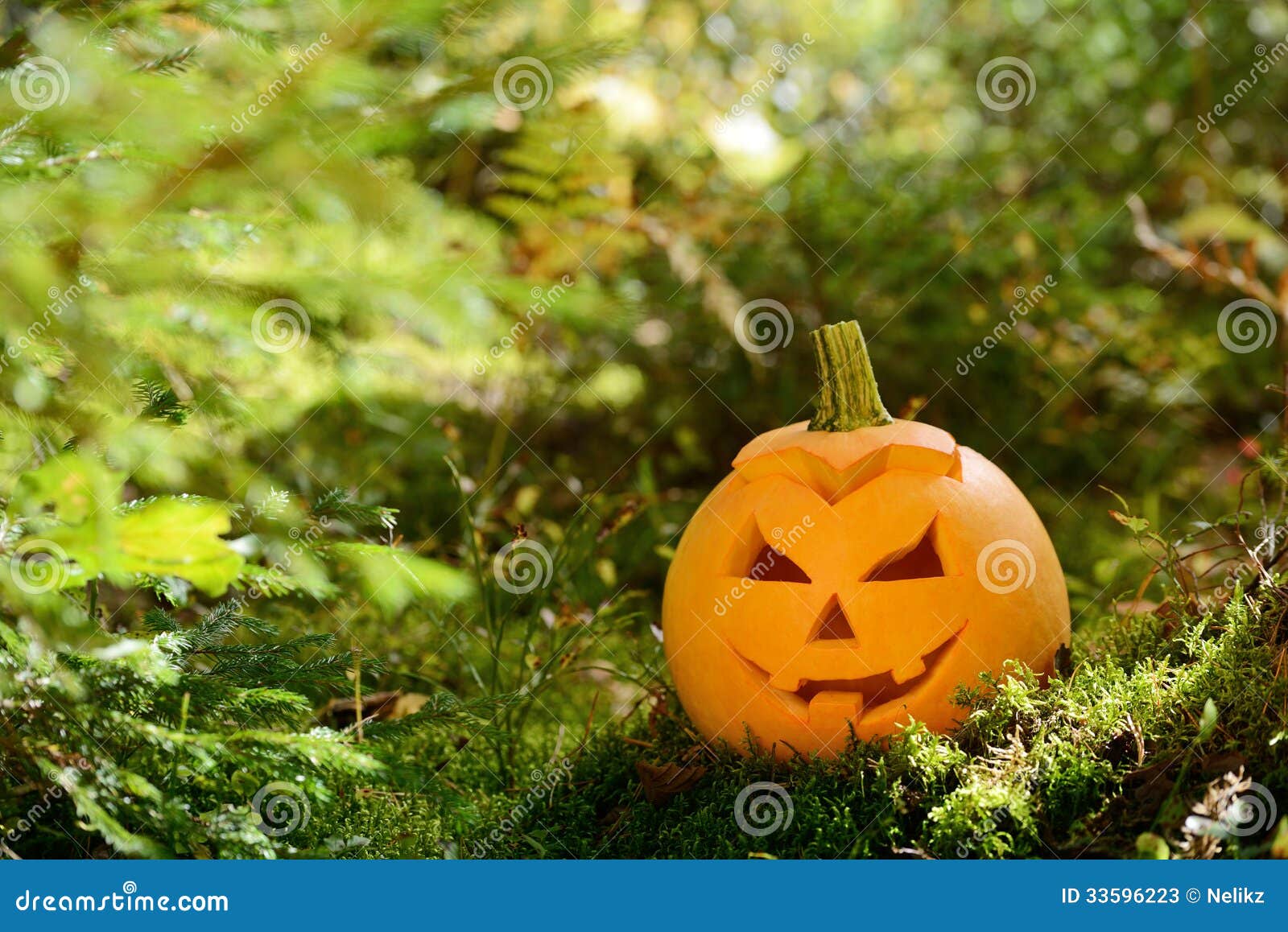 Halloween Scary Pumpkin in Autumn Forest Stock Image - Image of fear ...
