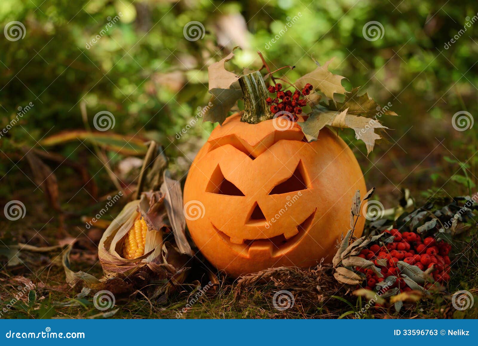 Halloween Scary Pumpkin in Autumn Forest Stock Image - Image of empty ...
