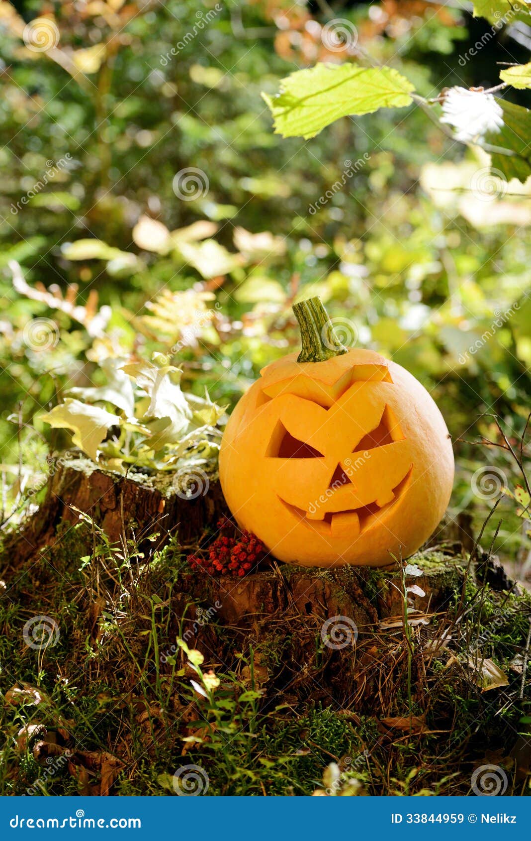 Halloween Scary Pumpkin in Autumn Forest Stock Image - Image of fall ...