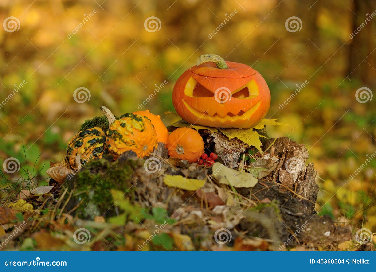 Halloween Scary Pumpkin in Autumn Forest Stock Photo - Image of leaves ...