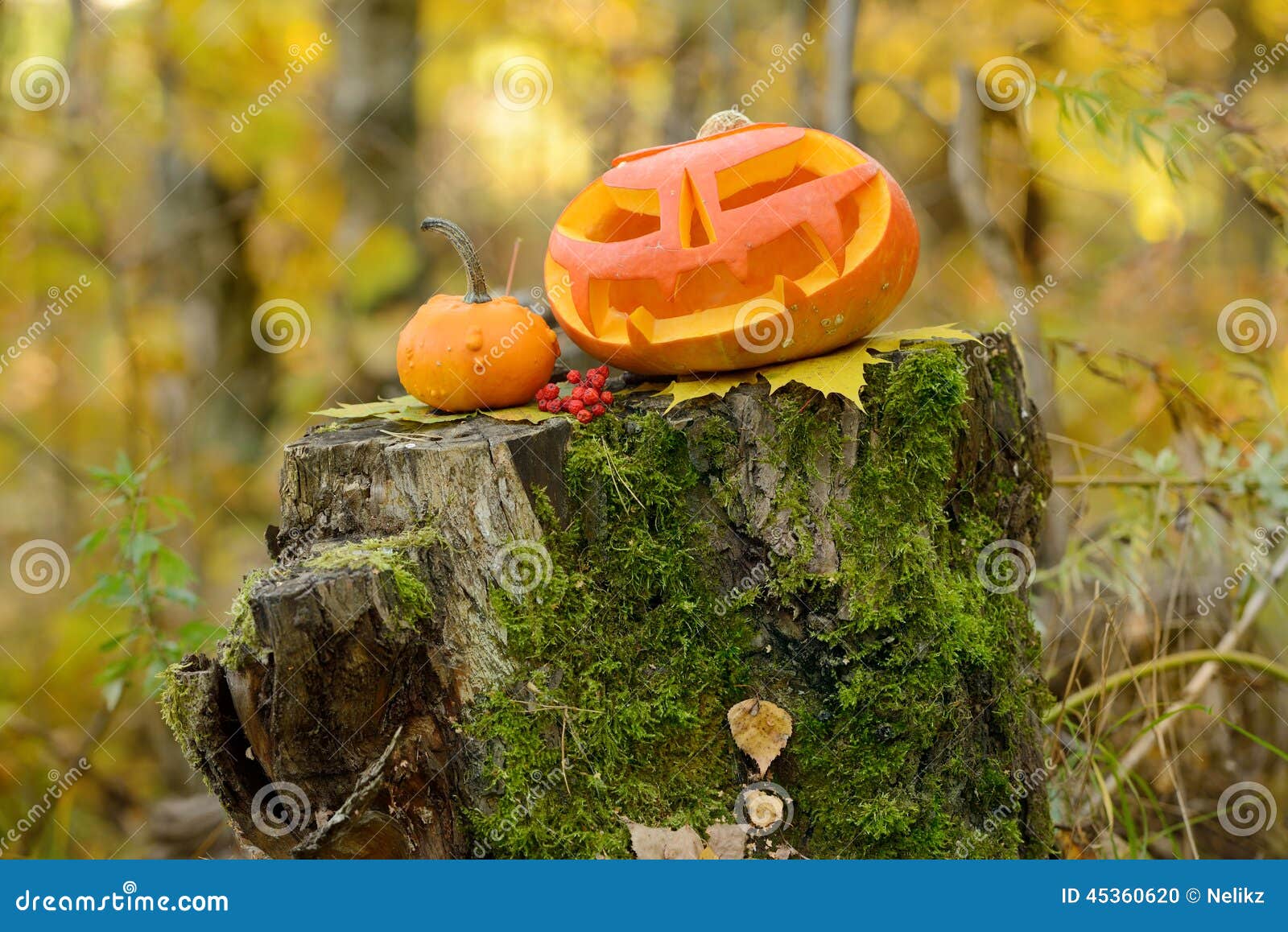 Halloween Scary Pumpkin in Autumn Forest Stock Photo - Image of face ...