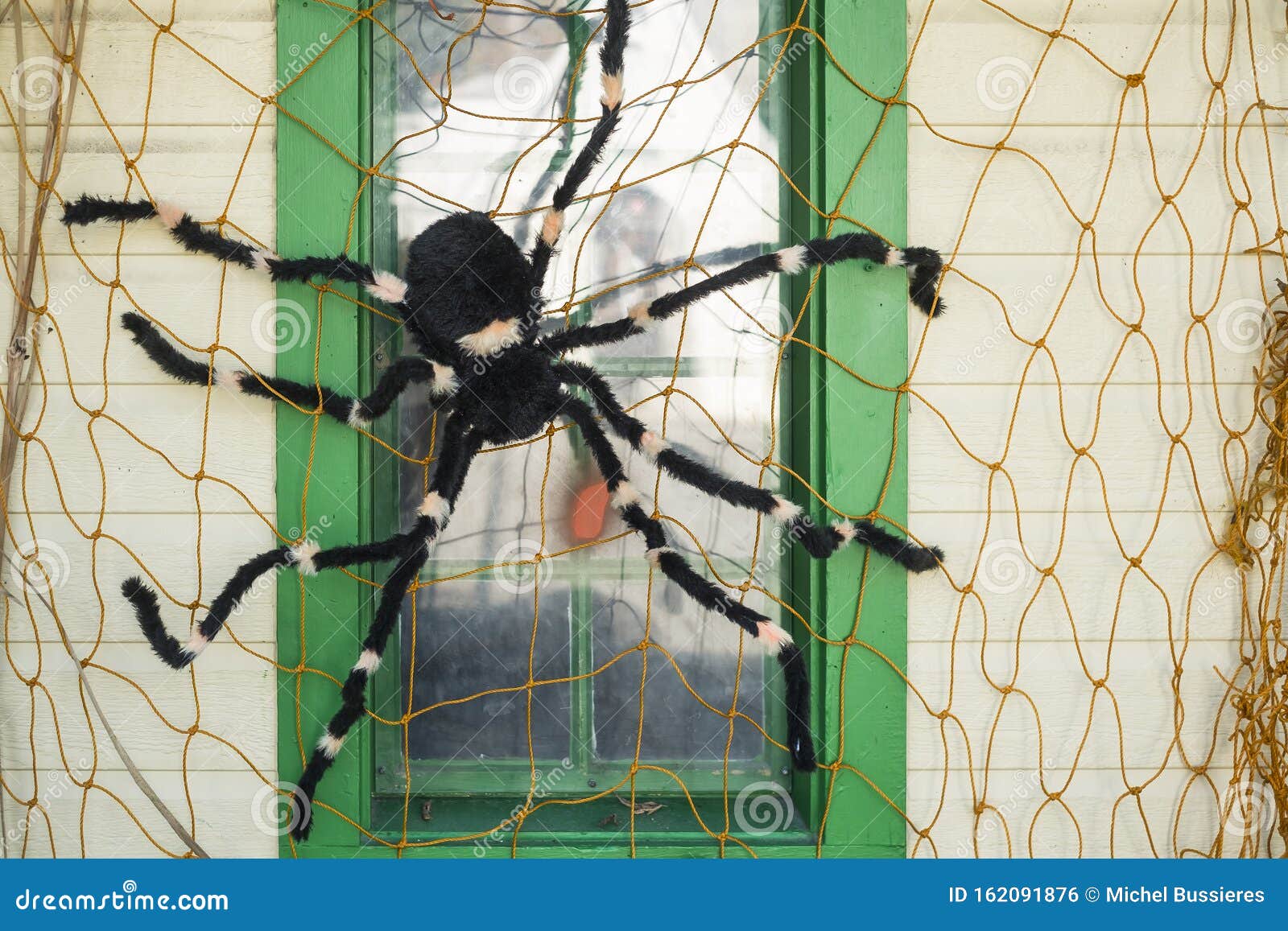 Spider Web In Window Royalty-Free Stock Photography | CartoonDealer.com ...