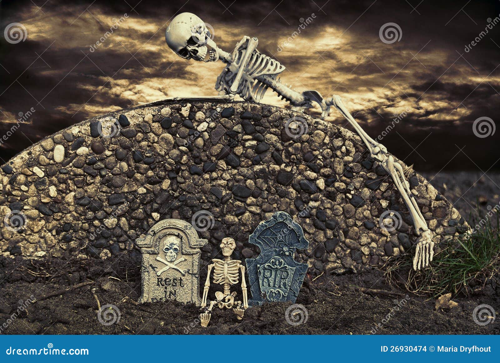 Halloween Skeleton stock photo. Image of wall, darkness - 26930474
