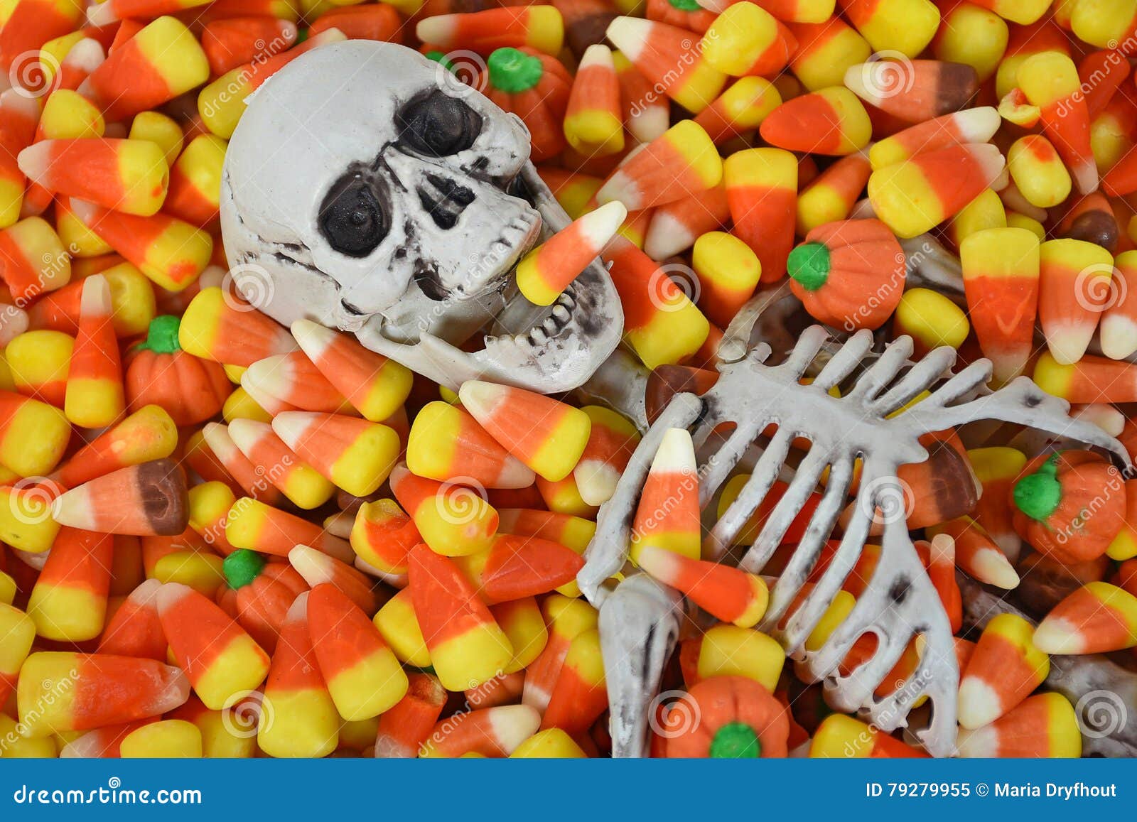 Halloween Skeleton in Candy Stock Image - Image of candy, confection ...