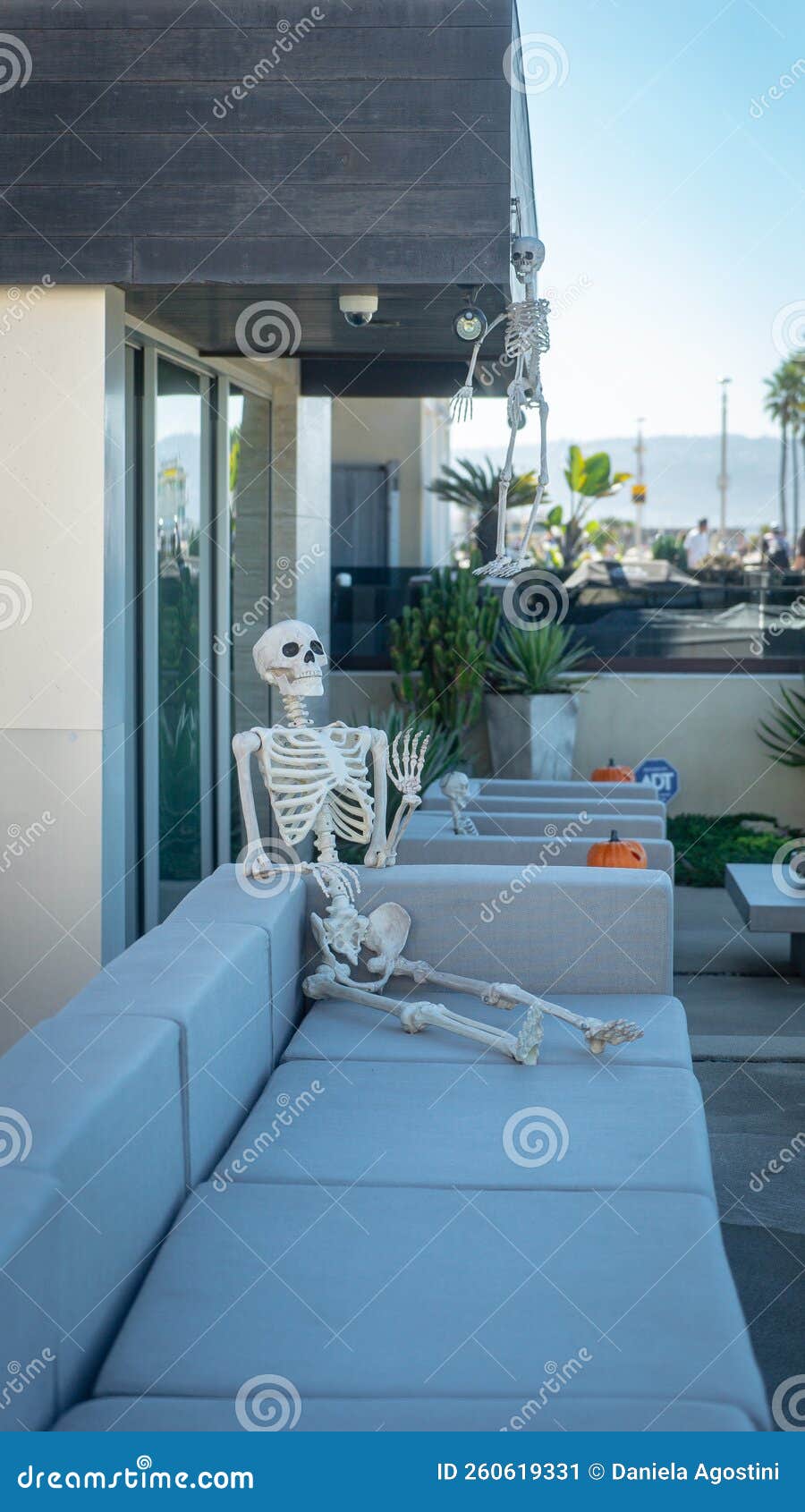 Halloween Skeleton Decoration Seat on a Couch. Stock Image - Image of ...
