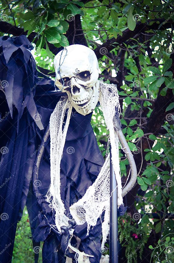Halloween Skeleton Hanging from a Tree Stock Photo - Image of danger ...