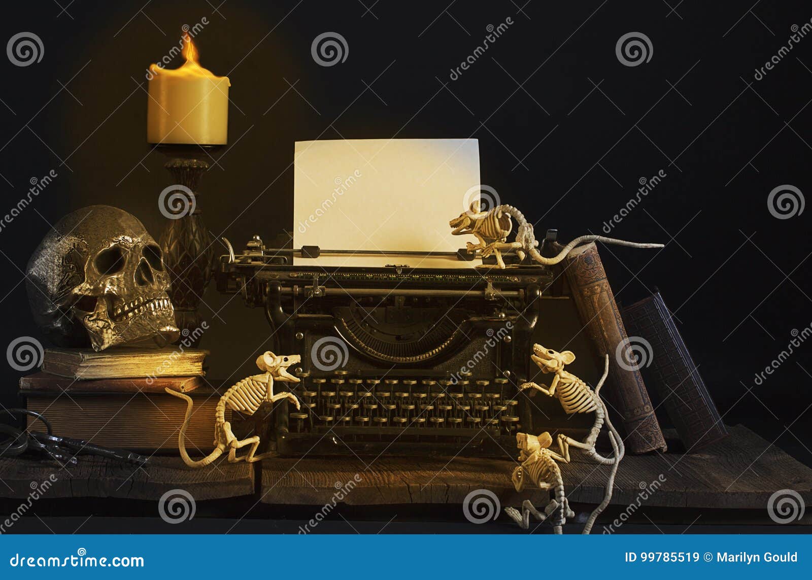 Halloween Skeleton Mice and Skull Stock Image - Image of skeleton ...