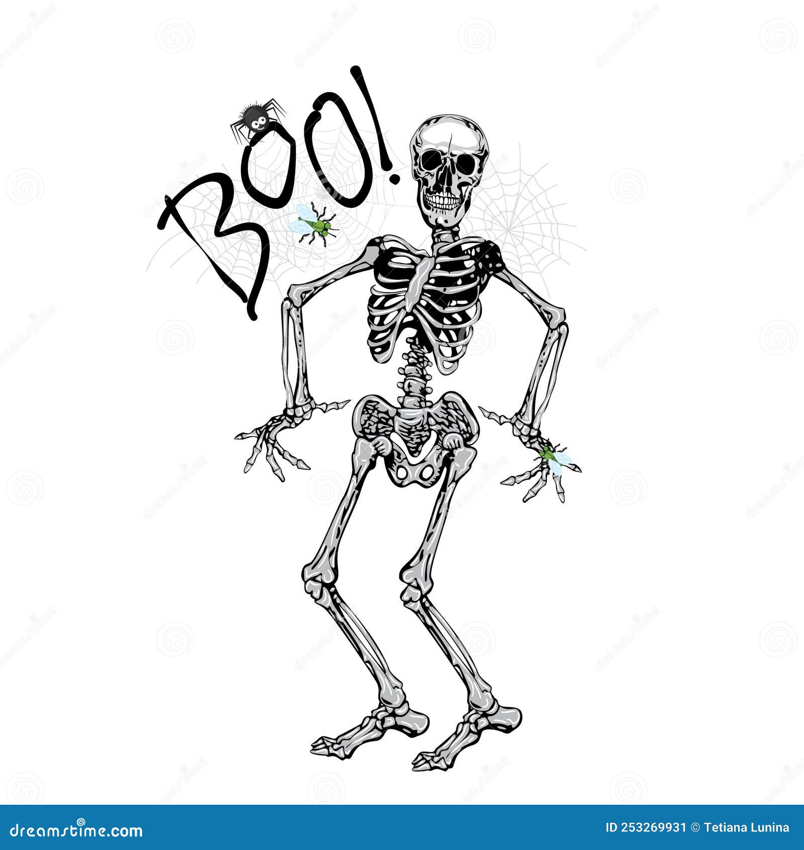 Halloween Skeleton Scary Spiders and Flies Stock Vector - Illustration ...