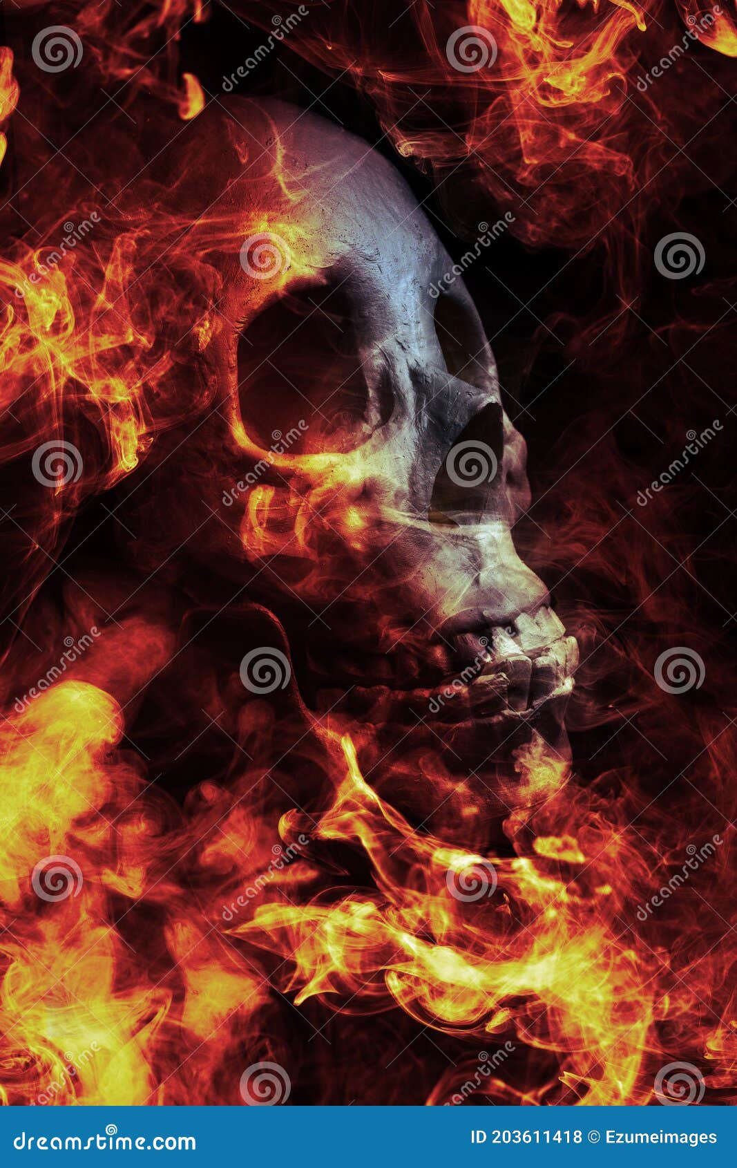 Halloween Skeleton Skull Fire Stock Photo - Image of inferno, human ...