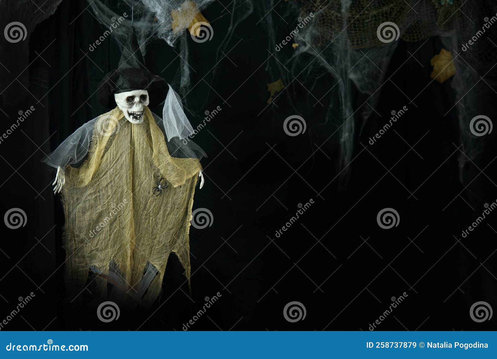 Halloween. Skeleton and Spider Web on a Black Background Stock Image ...