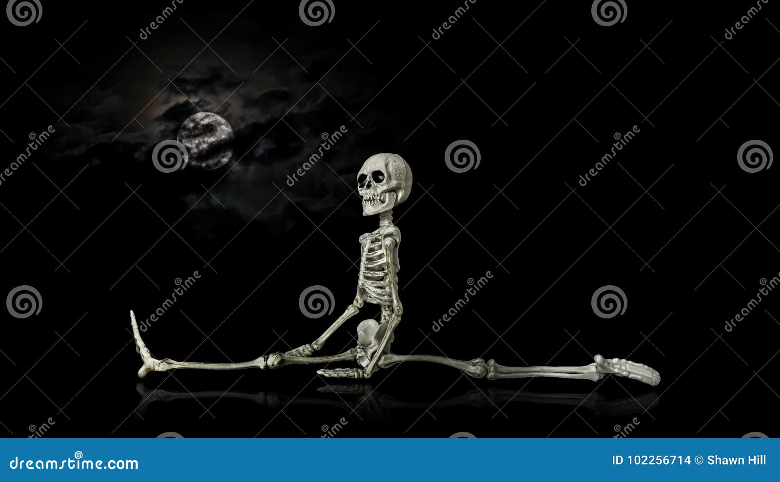 Skeleton Split stock photo. Image of stretching, moon - 102256714