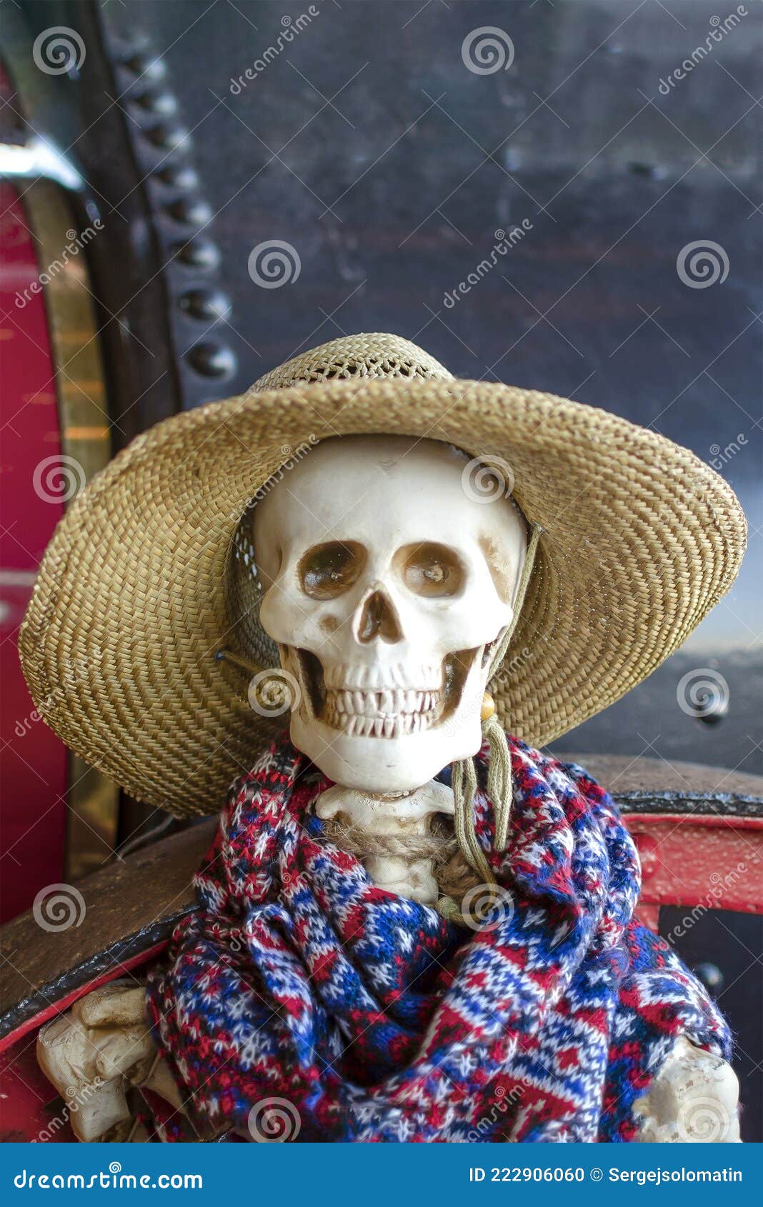 Halloween Skeleton. a Skeleton is Wearing a Straw Hat, a Halloween ...
