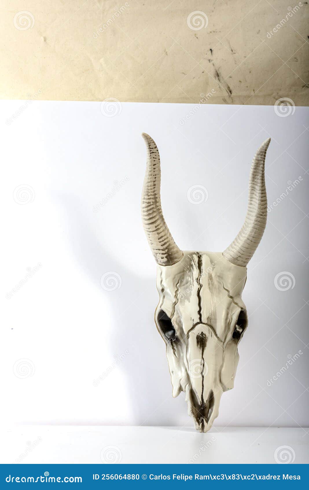 Halloween Skull of a Goat and the Skelleton Hand Stock Photo - Image of ...