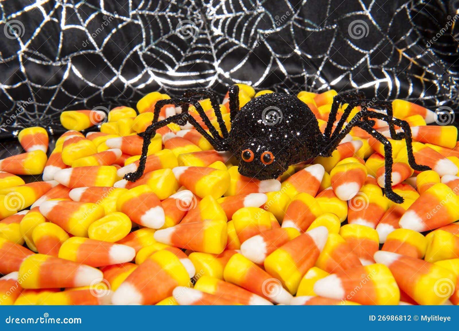 Halloween Spider with Candy Corn Stock Photo - Image of black ...