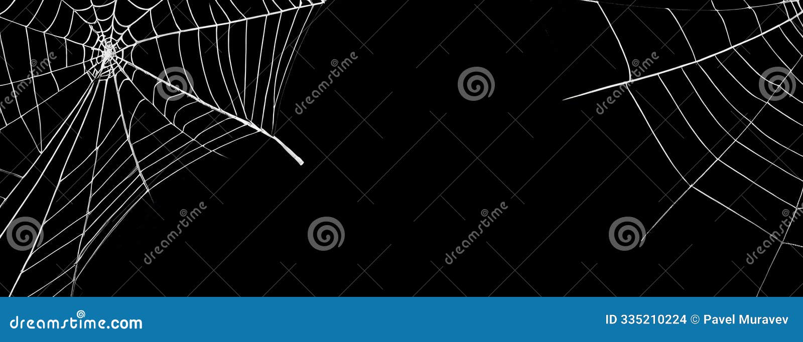 Halloween Spider Web on Black Background, Creepy Cobweb Corner Design ...