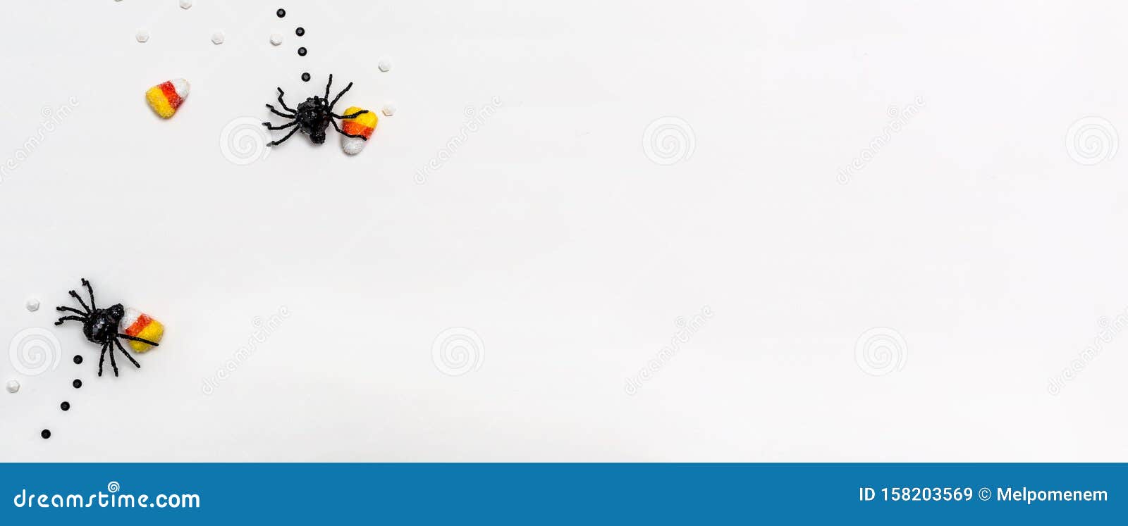 Halloween Spiders Overhead View Stock Image - Image of orange, solid ...