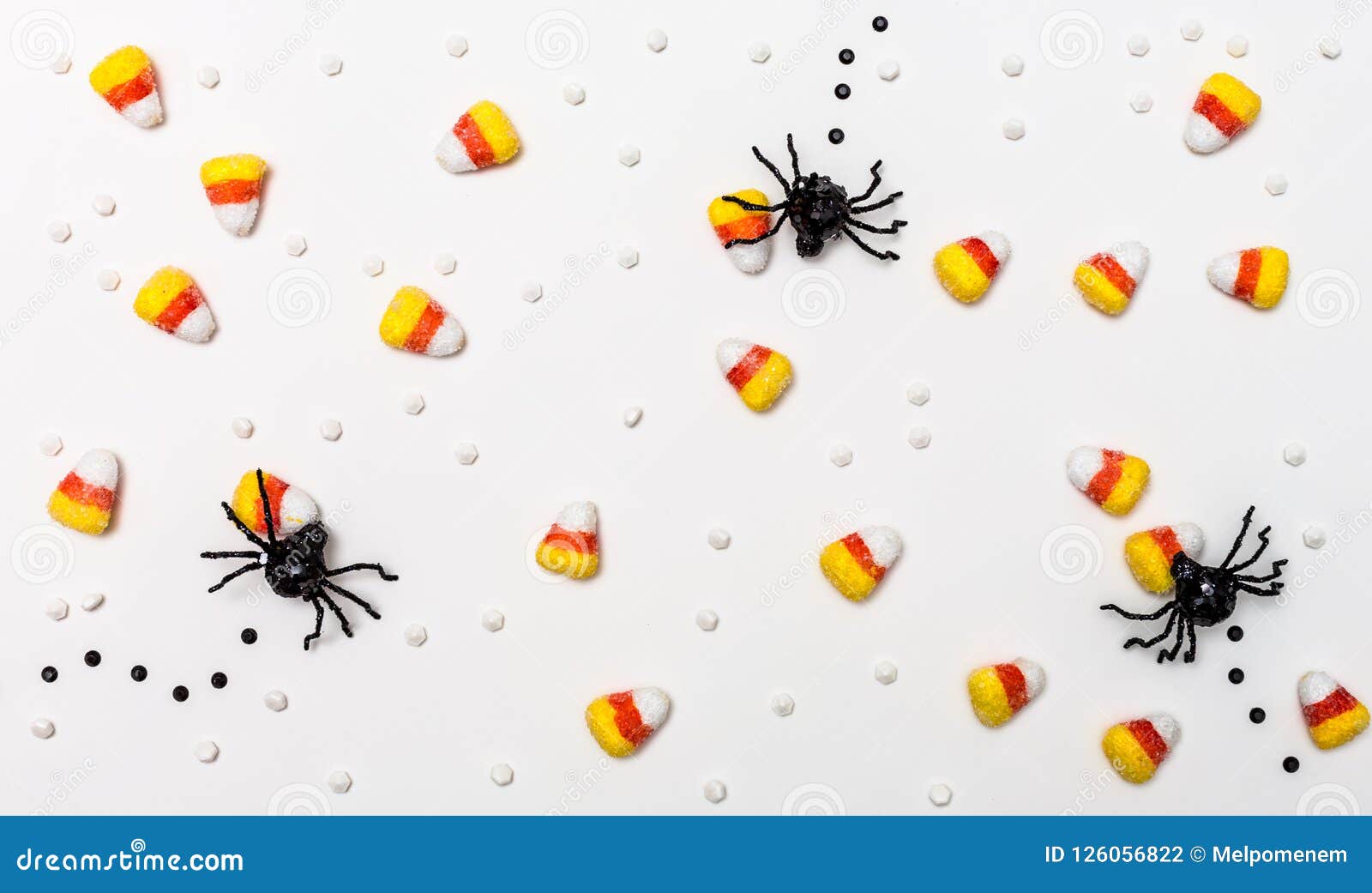 Halloween Spiders Overhead View Stock Photo - Image of small ...