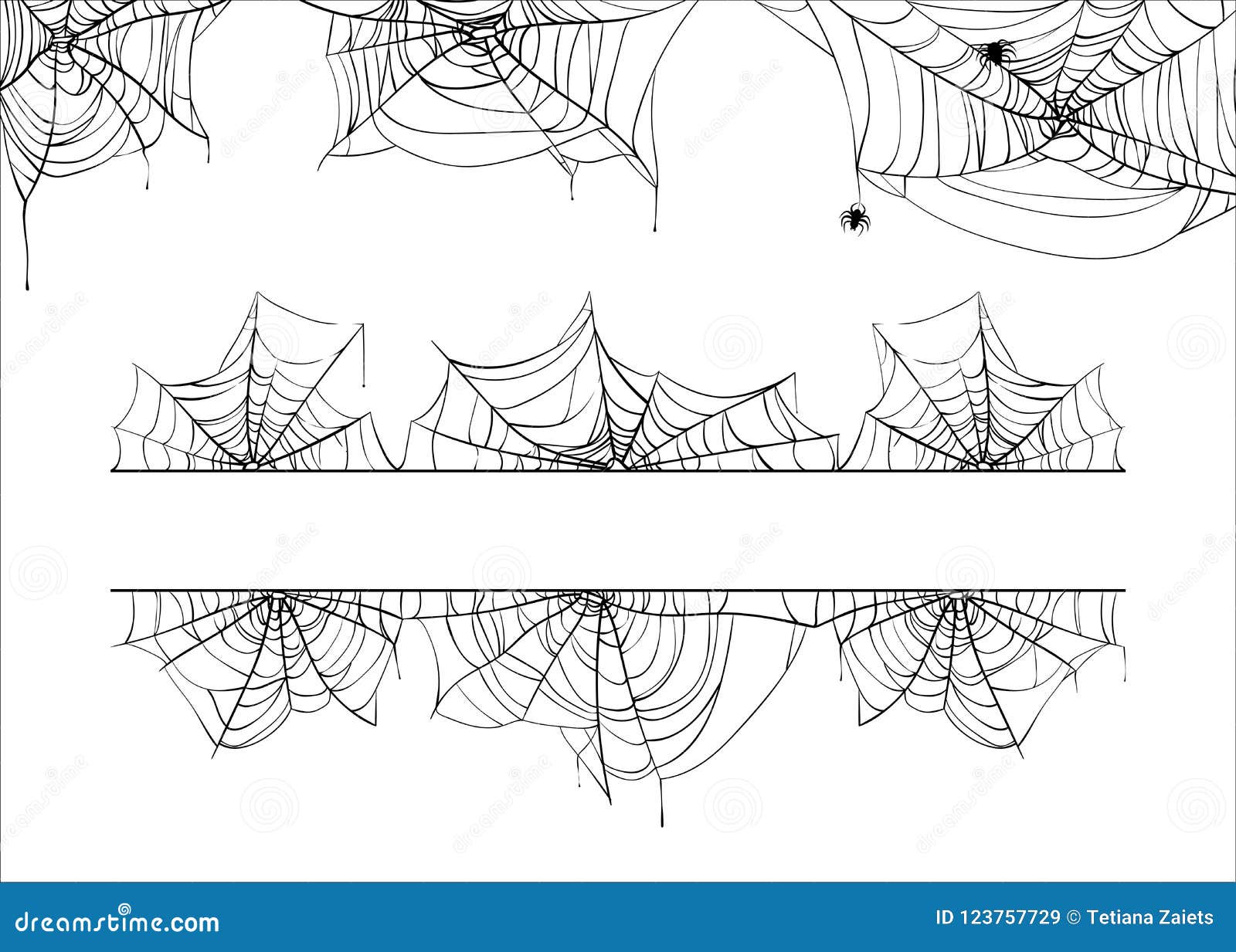 Spider Web - Cobweb Vector On White Background - Illustration ...