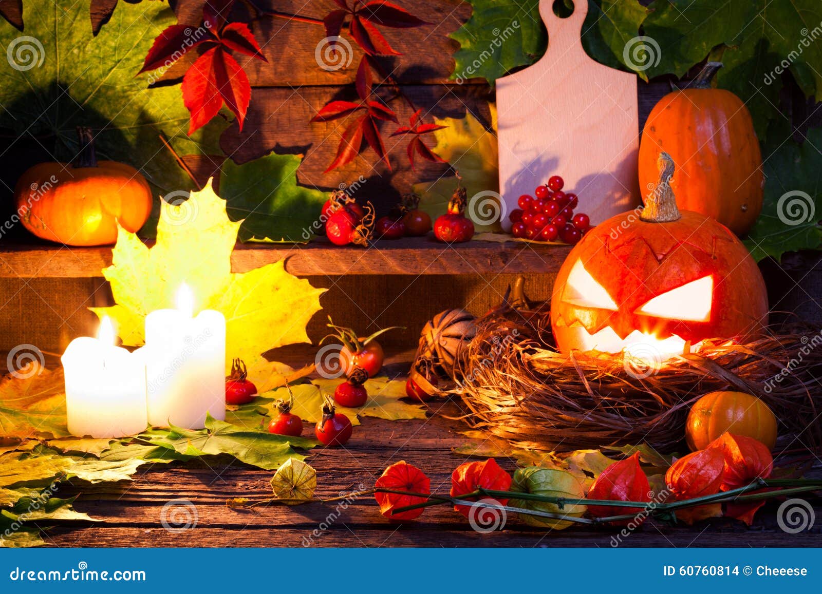 Halloween Still Life with Pumpkins Stock Photo - Image of friendly ...