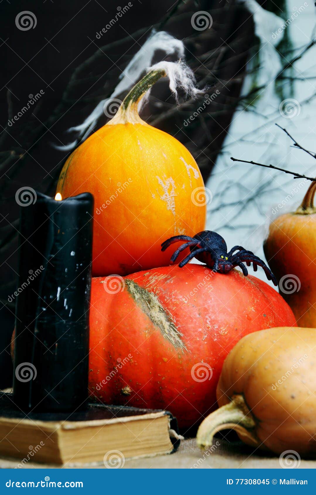 Halloween still life stock image. Image of aged, death - 77308045