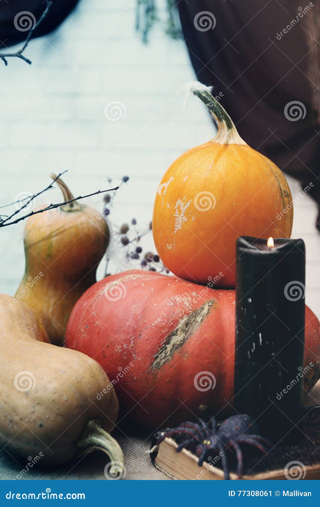 Halloween still life stock image. Image of parchment - 77308061
