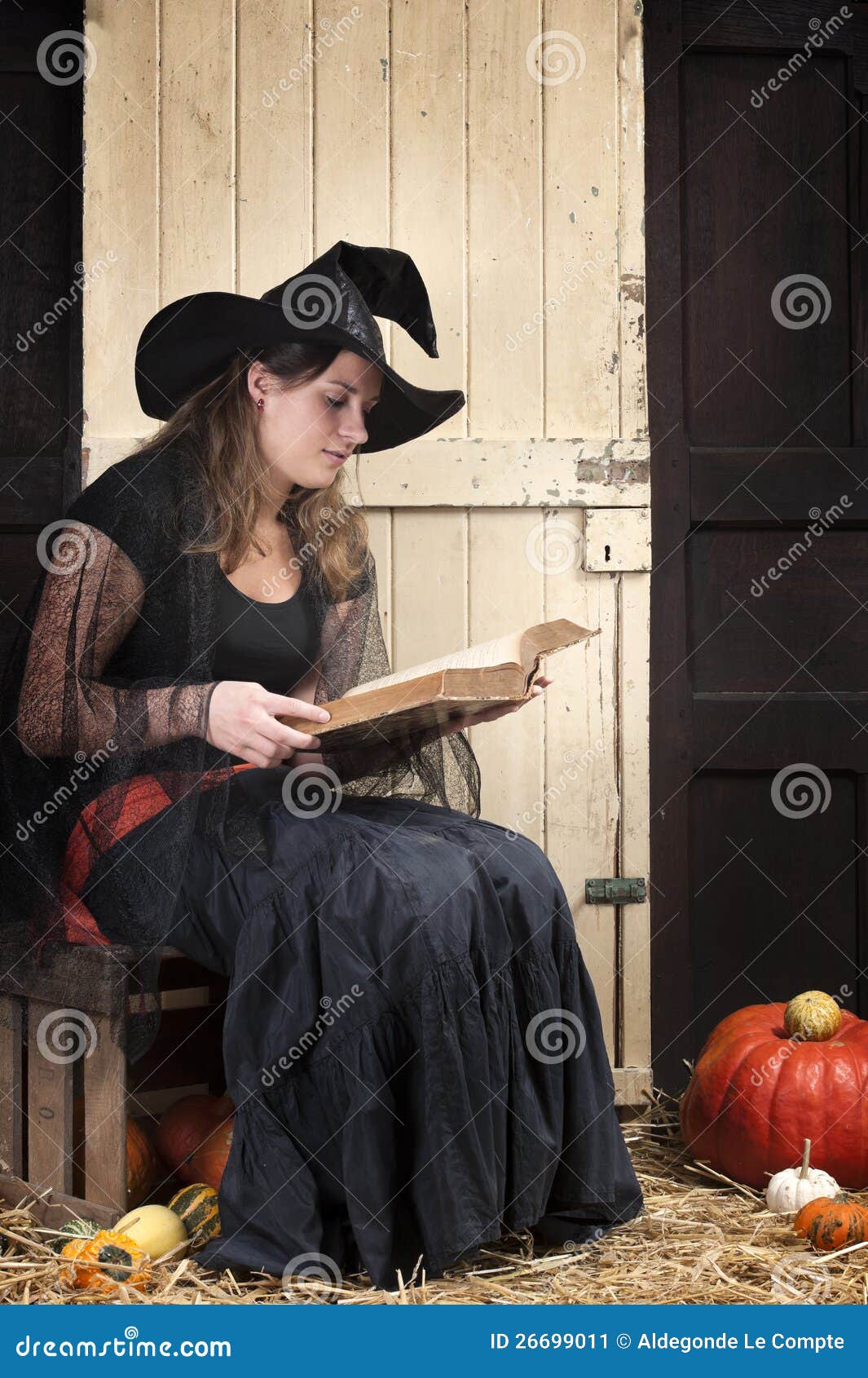 Halloween story telling stock image. Image of person - 26699011