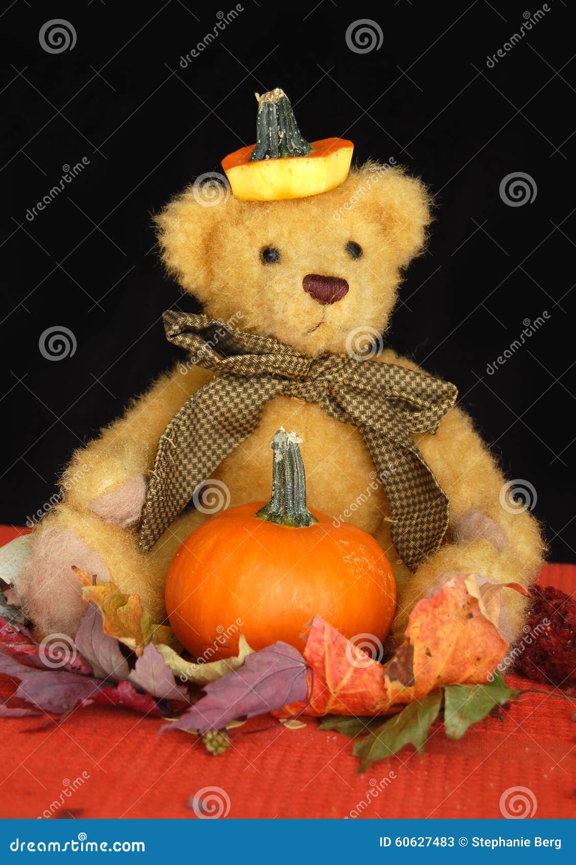 Halloween Teddybear stock image. Image of halloween, decor - 60627483