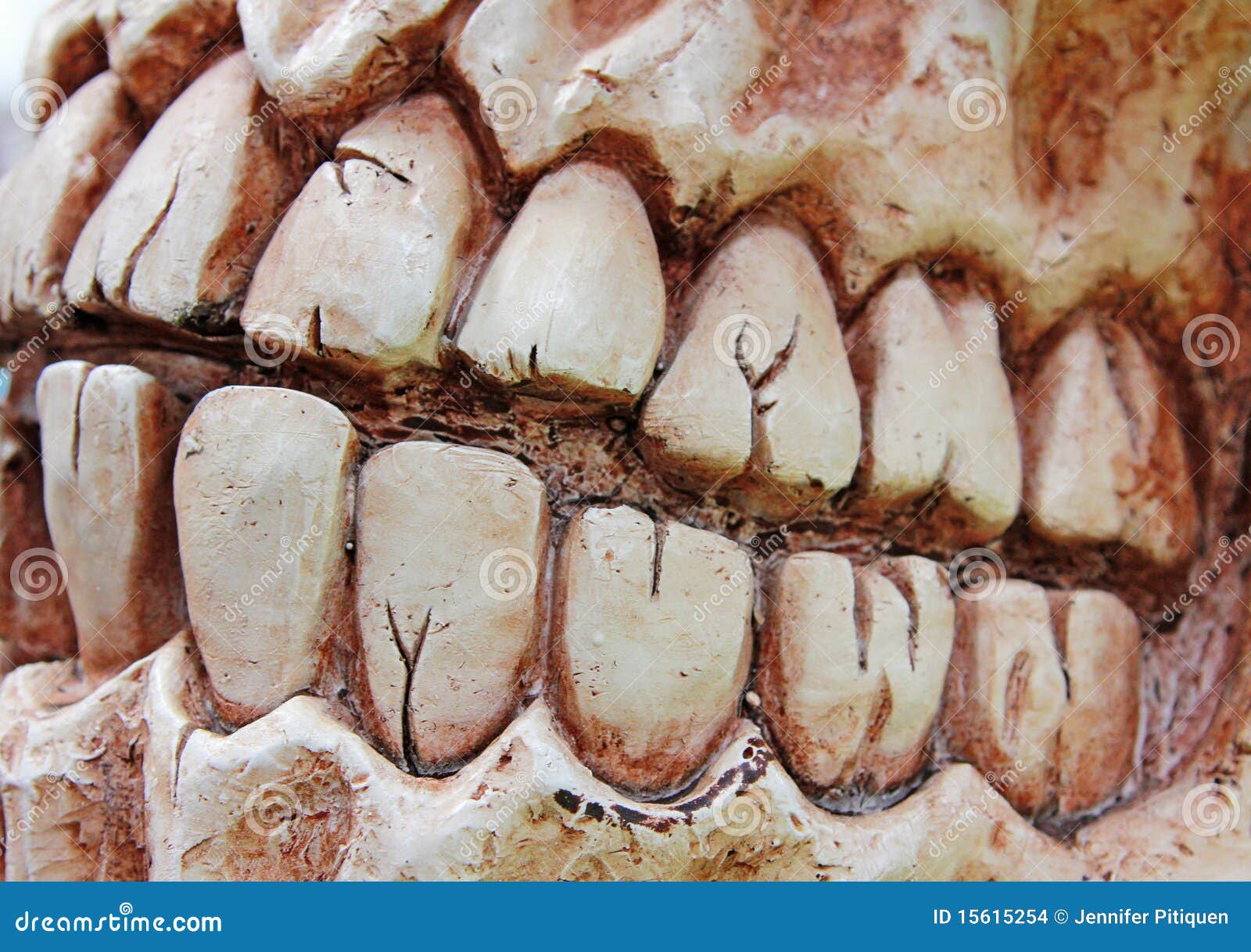 Halloween Teeth stock photo. Image of skull, costume - 15615254