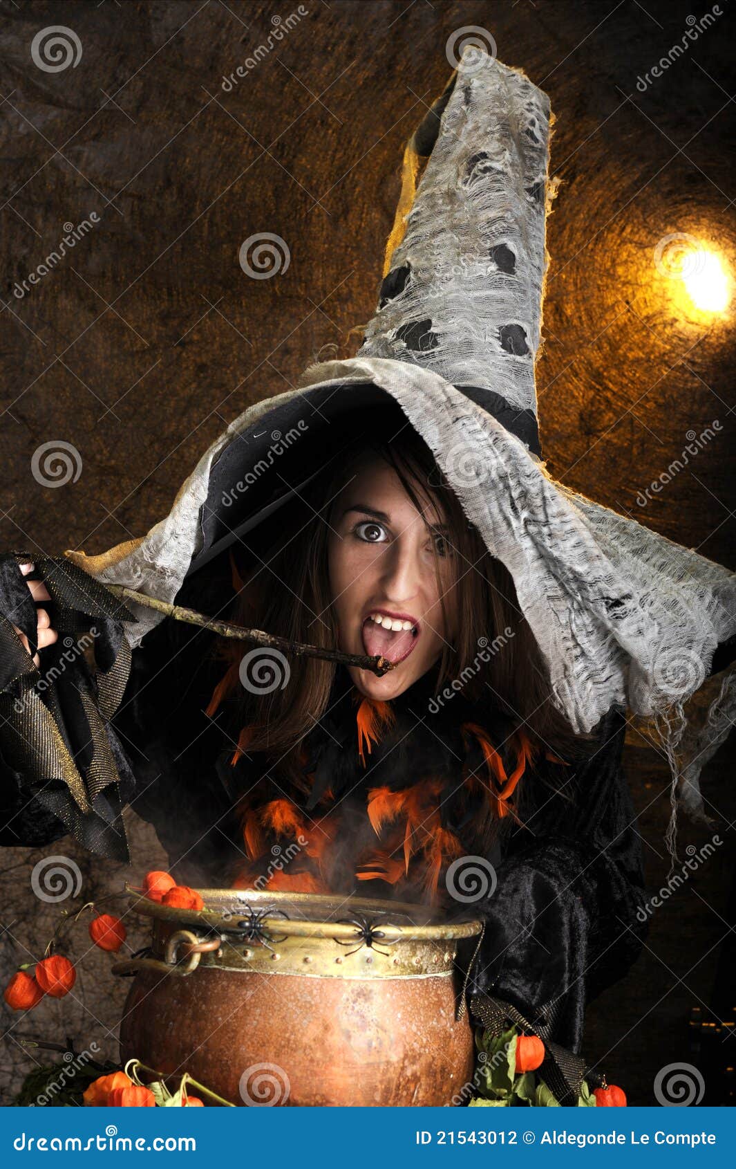 Halloween Witch Cooking in a Copper Cauldron Stock Photo - Image of ...