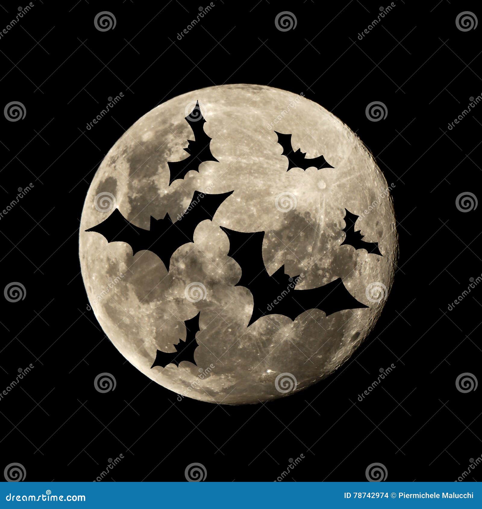 Hallowen Bat Flies in the Moon Stock Photo - Image of moon, mysterious ...