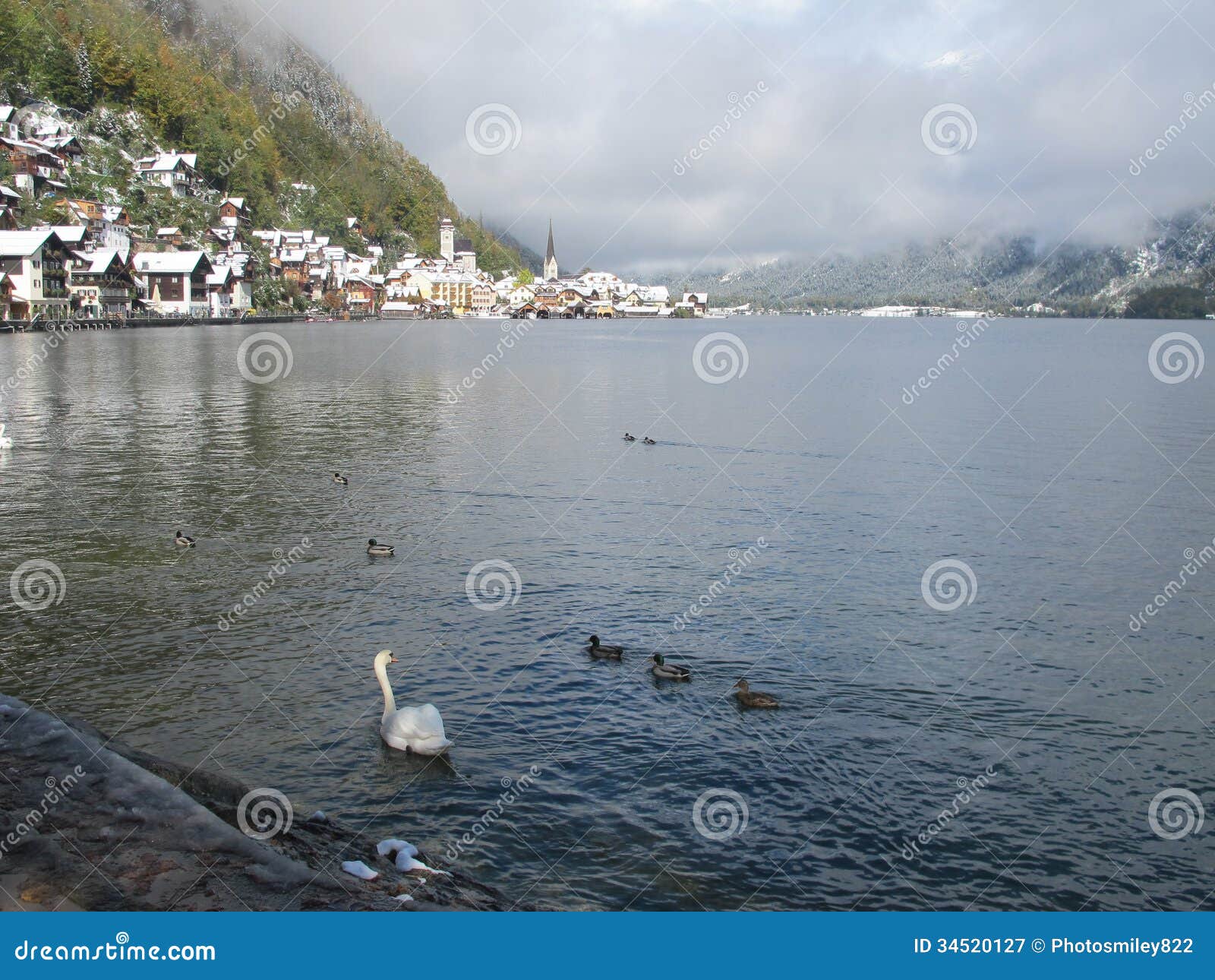 Hallstatt image stock. Image du oiseau, europe, voyez - 34520127