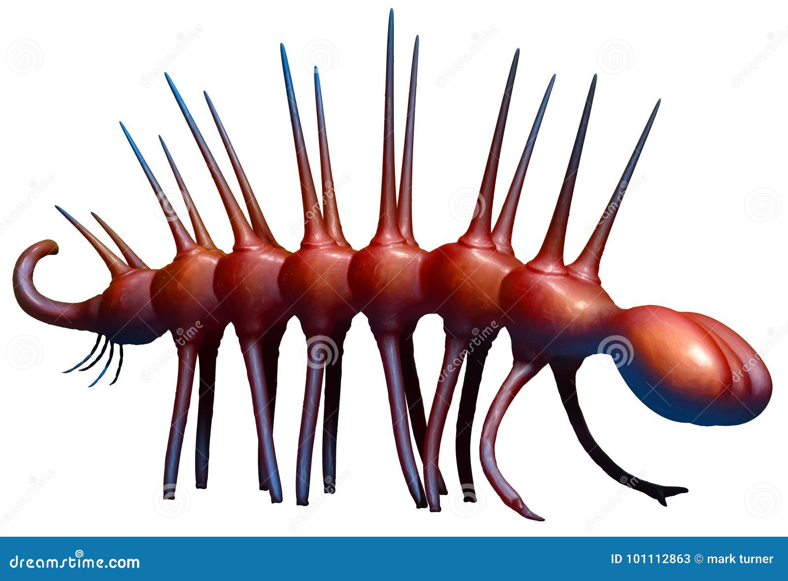 Hallucigenia, Prehistoric Aquatic Animal From The Cambrian Period ...