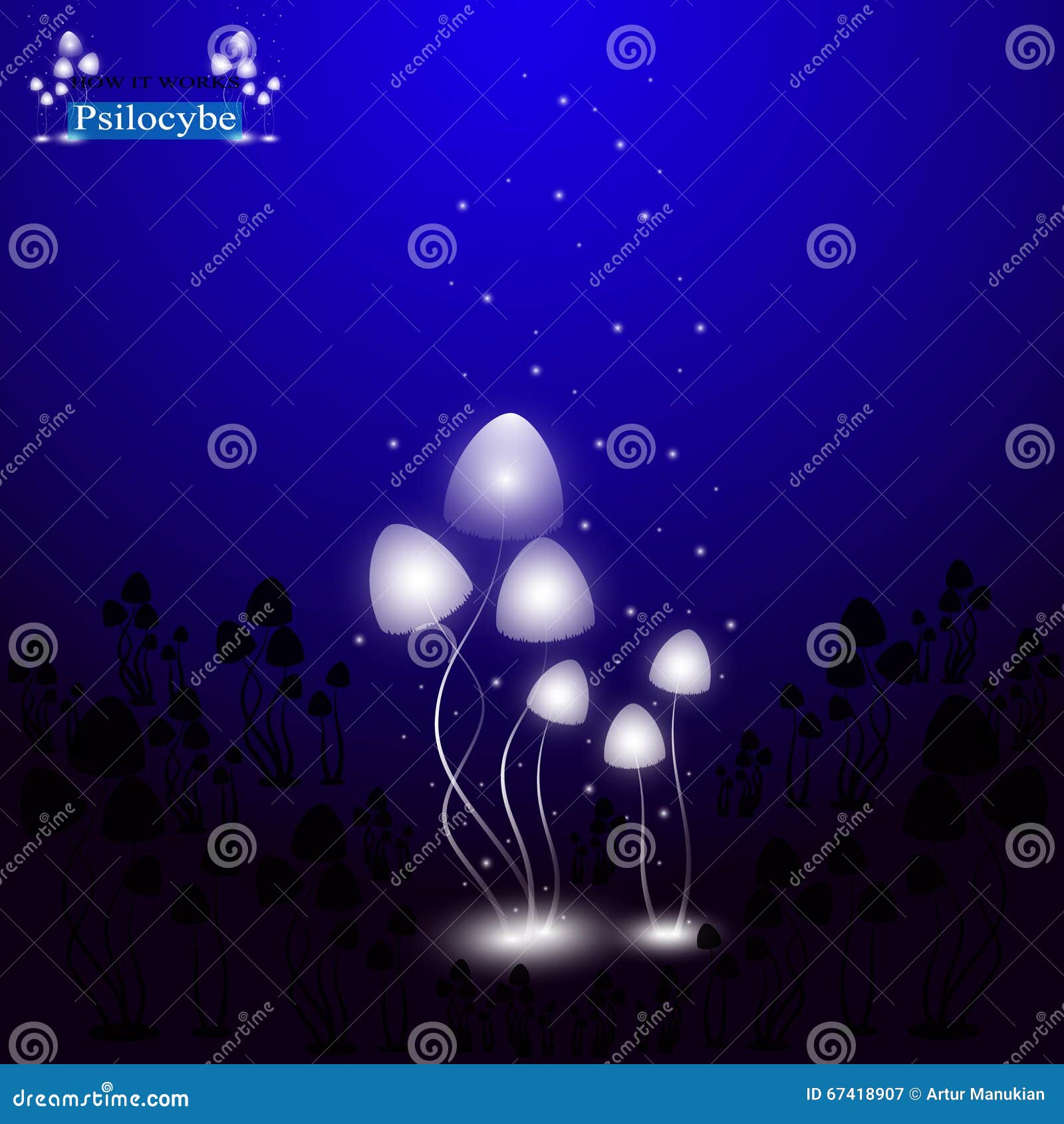 Hallucinogenic Mushrooms Psilocybe 1 Stock Vector - Illustration of ...