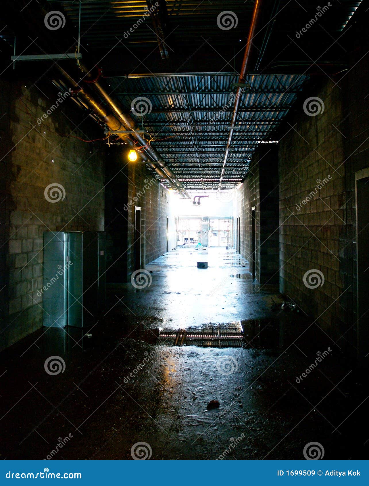 Hallway stock image. Image of perspective, ceiling, long - 1699509